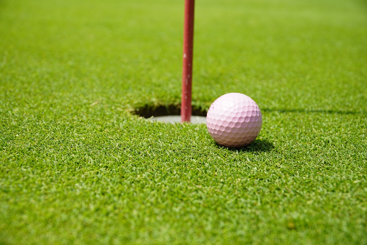 Virtual Golf to Become a Pro Sport - GolfX Sports Hub